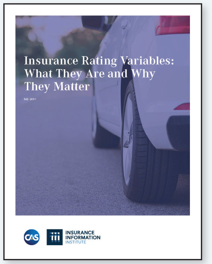CAS and I.I.I. Issue Rating Variables White Paper - Actuarial Review ...