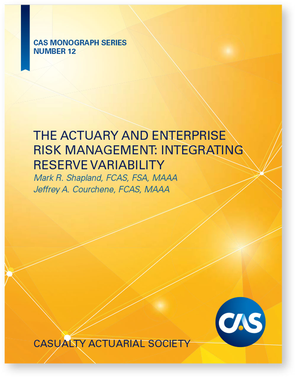 Integrating Risk Metrics in a Larger ERM Framework - Actuarial Review ...